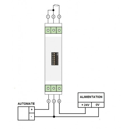 Pt1000 ET Pt100 en 4/20 mA